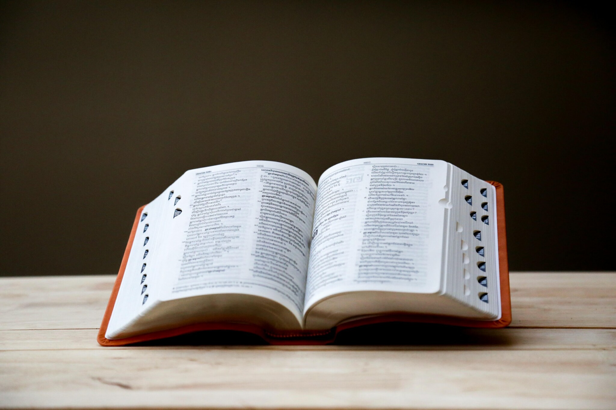 How To Use The Urban Dictionary Api With Python Php Ruby And Javascript Examples Rapid Blog