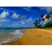 Attractions APIs (Free Tutorials, SDK Documentation & Pricing) | RapidAPI