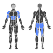 Muscle Group Image Generator API Documentation (mertronlp) | RapidAPI