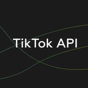 Tiktok API