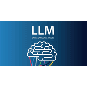 LLM