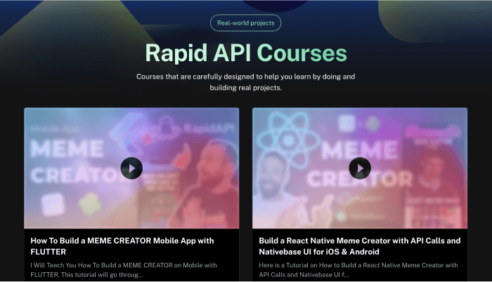 Rapid API Learn