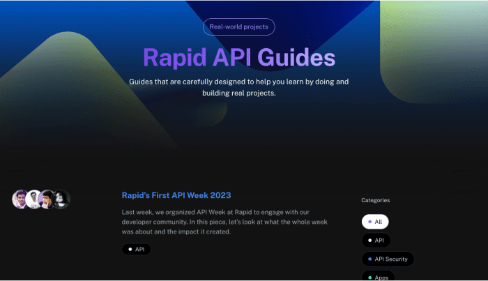 Rapid API Learn